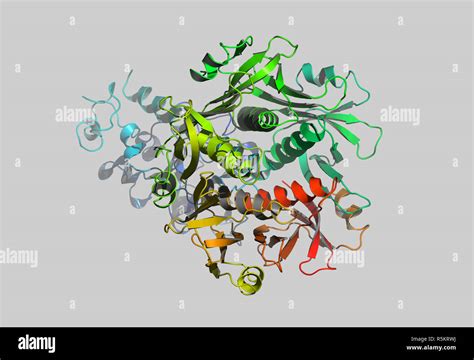 Molecule proteines Banque de photographies et dimages à haute