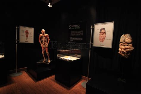 Inauguran Our Body El Universo Dentro En Durango