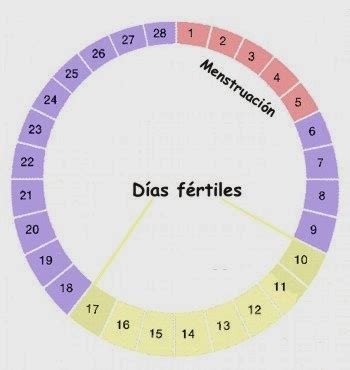 MAMÁS ENFERMERAS CÓMO SABER CUÁLES SON TUS DÍAS FÉRTILES