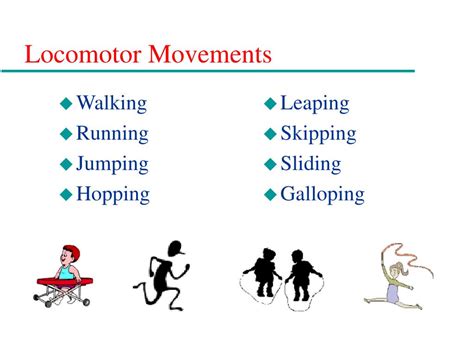 Types Of Locomotor Movements