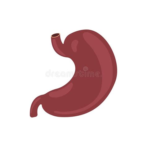 Icona Dello Stomaco Simbolo Umano Degli Organi Interni Anatomia Dell