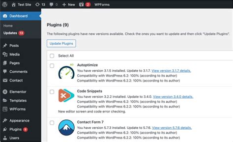 Cómo actualizar el núcleo los temas y los complementos de WordPress a