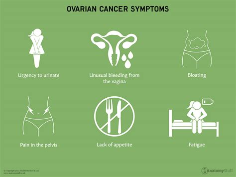 Ovarian Cancer Symptoms Risk Factors AnatomyStuff
