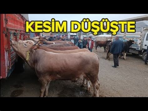 30 NİSAN SALI KIRIKKALE HAYVAN PAZARI GÜNCEL FİYATLAR LİVESTOCK BAZAAR