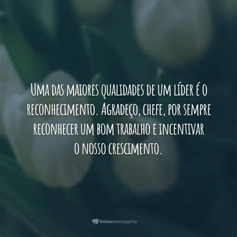 45 frases de agradecimento para chefe que demonstram valorização