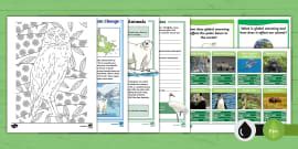 Canadian Fungi Colouring Sheets Teacher Made Twinkl