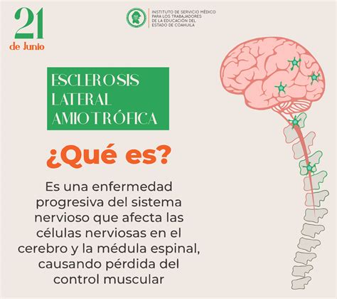 Instituto Servicio Medico Seccion Ultimas Noticias