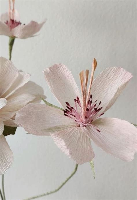 Voorbeelden Van Papieren Bloemen Artofit
