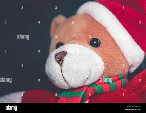 Portrait Of Cute Teddy Bear Wearing Santa Claus Costume With Seasonal