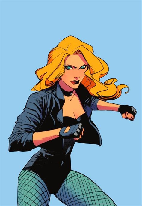 Black Canary Dc Comics Artwork Marvel Characters Art Dc Comics Art