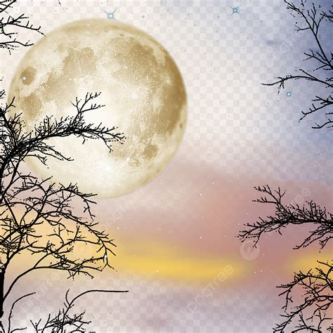 Night Sky Moon Png Image Full Moon Moon Sky In The Night Starry Sky