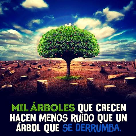 Te Presentamos Im Genes Con Una Frase Para El Medio Ambiente Que Puedes