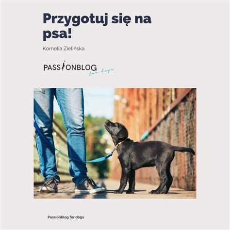 Przygotuj się na psa kurs online Passionblog For Dogs
