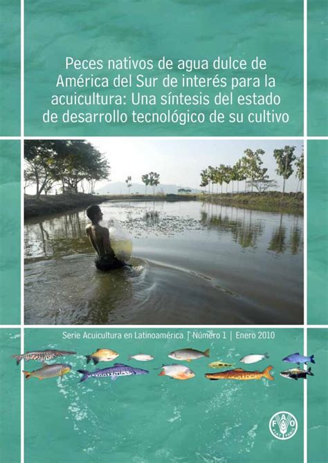 Tipos De Acuicultura En Argentina Un Recorrido Profundo Por La