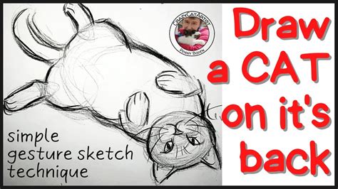 How To Draw A Cat Laying On Its Back British Shorthair Simple Sketch