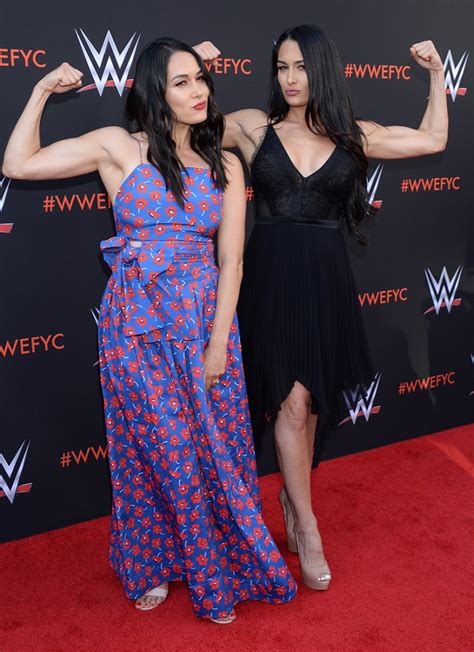 Brianna Monique Garcia Colace Brie Bella Stephanie Nicole Garcia