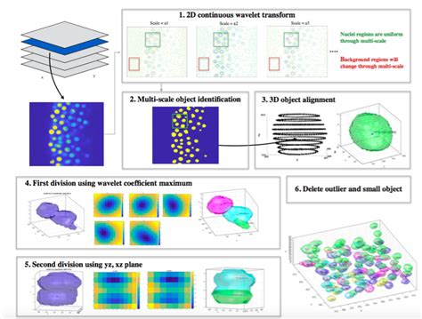 wavelet segmentation waveletseg