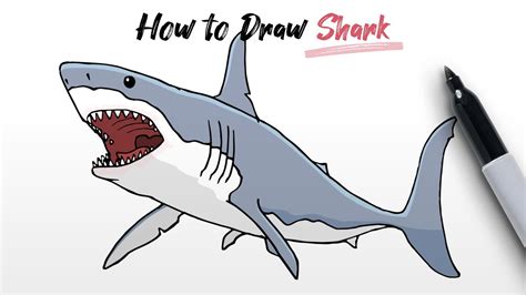 How To Draw A Shark From Jaws Movie Great White Shark Step By Step