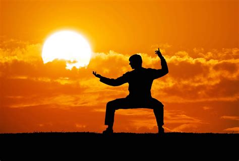 En Qu Consiste El Kung Fu Shaolin Norte O O Bei Shaolin