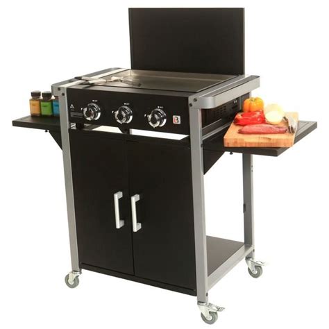 Plancha D Exterieur Gaz Agencement De Jardin Aux Meilleurs Prix