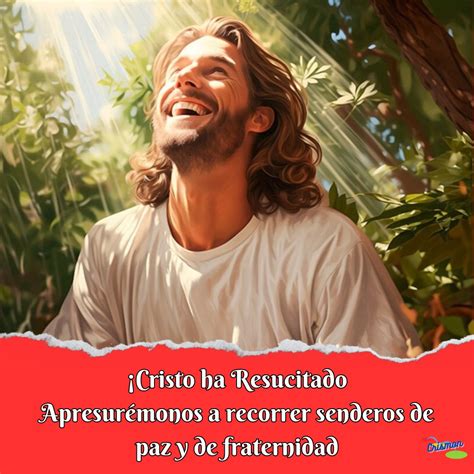 Alegr Monos Resucit Misioneras Del Divino Maestro