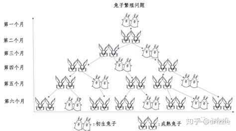 斐波那契数列 没事儿想想兔子繁殖问题，你也能成数学家 知乎