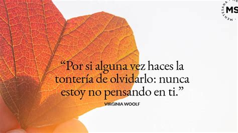 32 Impactantes Frases Sobre El Conflicto Armado Reflexiones Que No