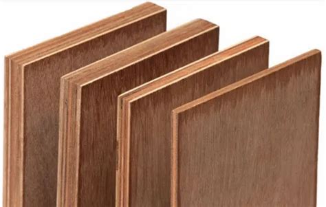 POPLAR EUCALYPTUS GURJAN Brown Waterproof Plywood Board For Furniture