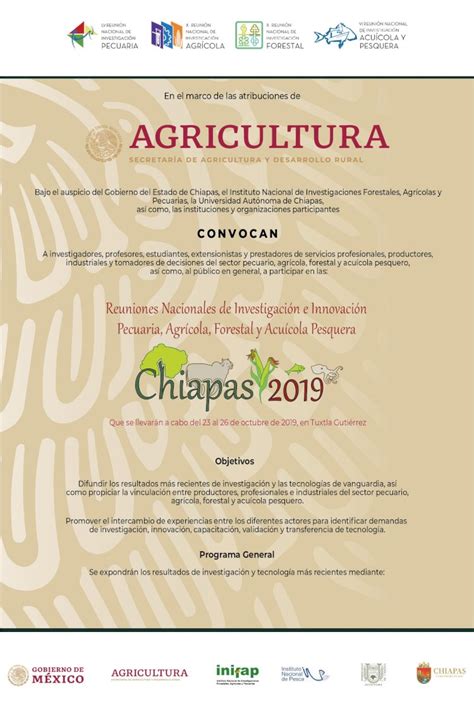 PDF Reuniones Nacionales de Investigación e Innovación
