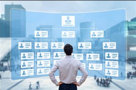 Advantages And Disadvantages Of Functional Organizational Structure