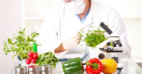 Tecnologías de conservación de alimentos TotalFood