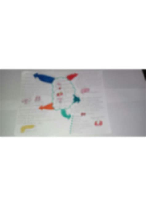 SOLUTION Mapa Mental Del Sistema Endocrino Studypool