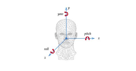 head pose estimation with hopenet