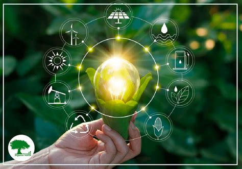 Innovación verde soluciones tecnológicas para enfrentar la crisis