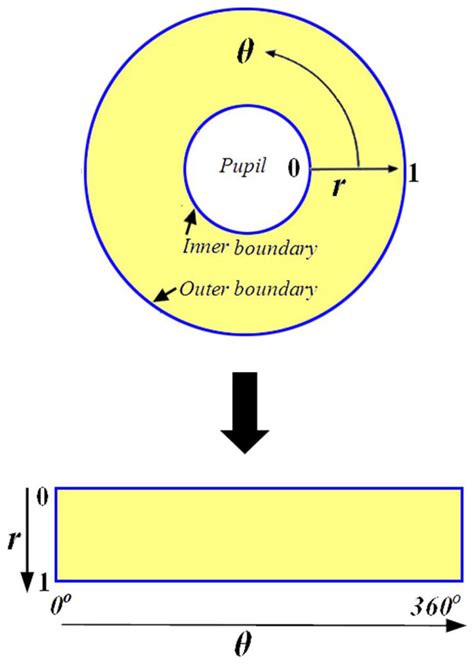 iris recognition approach for identity verification with dwt and multiclass svm [peerj]
