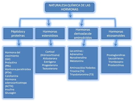 PORTAFOLIO DE EVIDENCIAS FISIOLOGÍA BASICA JONATHAN I JIMENEZ UAS