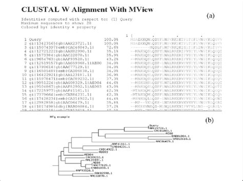 Clustalw Alignment With Mview A Screenshot Of Multiple Sequence