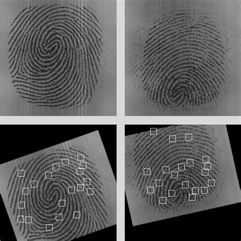a fingerprint pre processing and feature extraction on the top two download scientific