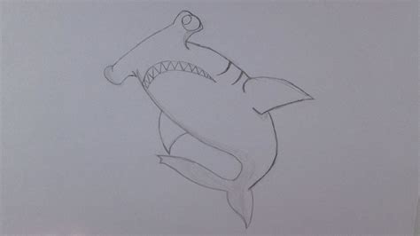 Explosivos tierra principal Increíble dibujos de tiburones martillo