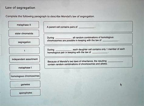 Solved What Are These Answers Law Of Segregation Complete The