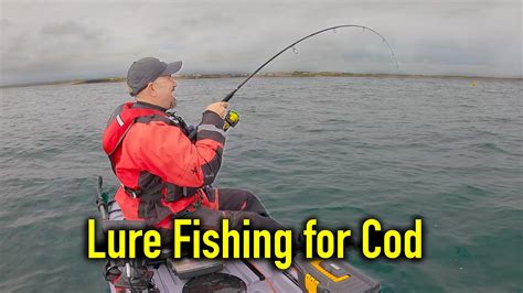 Awesome Lure Session Cod After Cod At Beautiful Beadnell Kayak Sea