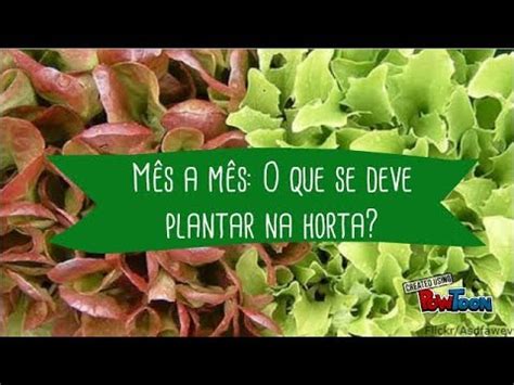 Mês a mês O que se deve plantar na horta YouTube
