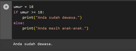 4 Hal Untuk Memahami Panduan Dasar Dasar Python
