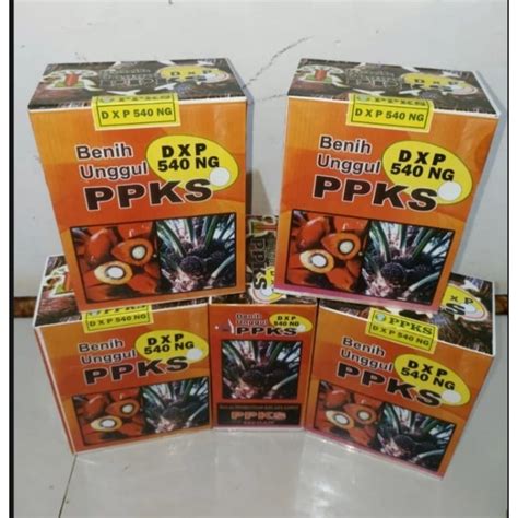 Jual Bibit Kecambah Sawit PPKS 540 Sertifikat Shopee Indonesia