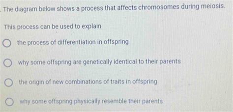 Solved The Diagram Below Shows A Process That Affects Chromosomes