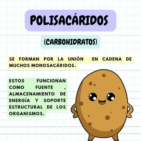 Polisacáridos ROSSELINE LOPEZ uDocz