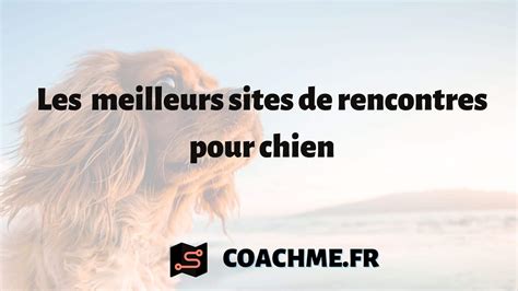 Les 5 Meilleurs Sites De Rencontres Pour Chien