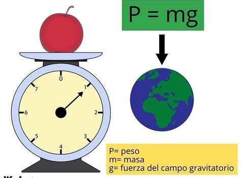 Ejemplos de Masa en Física Descubre su importancia