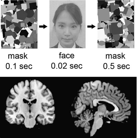 Figure 1 IMAGE EurekAlert Science News Releases