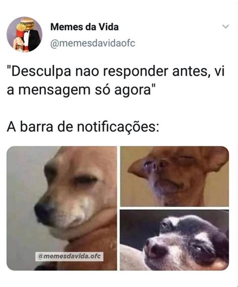 Memes Engra Ados Os Melhores Para Compartilhar Em Dpopular